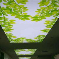 China Flexible Width 1.8m-3.2m Stretch Ceiling Film For Shopping Mall Advertising for sale