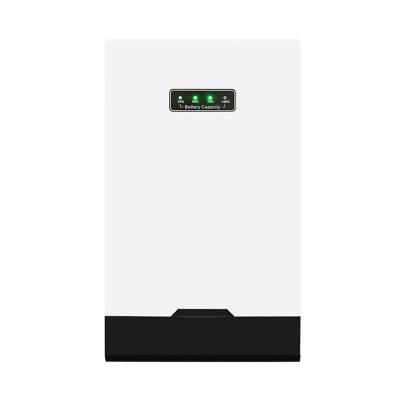 China Wall Mounted Lithium Battery 220V 5kw 48v Solar Inverter Battery for sale