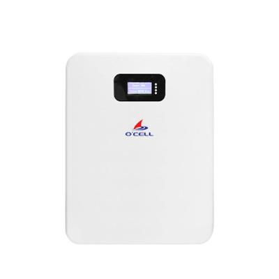 China 5kwh 10kwh Power Wall Lithium Iron Phosphate Battery 48V for Home Power Station for sale