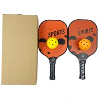 China Premium Graphite Pickleball Racket  PP Honeycomb Core Carbon Fiber Pickleball Paddle for sale
