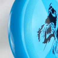 China Professional Ultimate Flying Disc Beach Frisbee Discraft 175g Ultimate Disc for sale