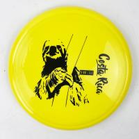 China Round Ultimate Flying Disc Outdoor Toy 175g Professional Flying Disc for sale