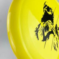 China Professional Ultimate Flying Disc Beach Frisbee Discraft 175g Ultimate Disc for sale