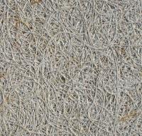 China Green Wood Wool Acoustic Cement Panel Veneer Surface Finishing Replace After-sales Service for sale