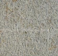 China Distinctive Gray Wood Wool Acoustic Cement Panel with B1 Fireproof Grade 1200*2440 mm for sale