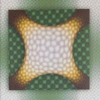 China 3D PVC Textured Wall Panels for Wall and Ceiling Decoration Non-Customized Hotels for sale