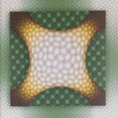China 3D PVC Textured Wall Panels for Wall and Ceiling Decoration Non-Customized Hotels for sale