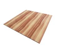 China Customized Waterproof Plastic 3D Wall Panel for Interior Decoration Size 460mm*460mm for sale