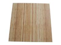 China Customized Waterproof Plastic 3D Wall Panel for Interior Decoration Size 460mm*460mm for sale