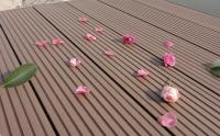 China WPC Decking for Outdoor Fencing/Boardwalk/Gate/Playground Weatherproof and Eco-friendly for sale