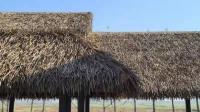 China Global Sales Beautiful and Elegant Thatch Roofing Tile for Natural Looking Decoration for sale