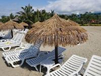 China Grey Synthetic Thatch Roof Tiles for Garden 45*50cm and 30*45cm Realistic Appearance for sale