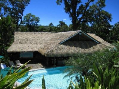 China Customized Fireproof Synthetic Thatch Roof Tiles for Outdoor Customized Solution for sale