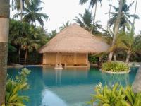 China Customized Fireproof Synthetic Thatch Roof Tiles for Outdoor Customized Solution for sale