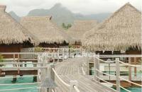 China PVC Thatch Roofing Artificial Synthetic Simulation Roofing with Material Component for sale