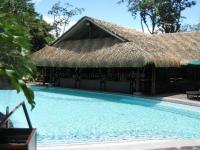 China Customized South Africa Synthetic Thatch Tile for Roof Decoration SGS Tested and Approved for sale