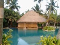 China Customized South Africa Synthetic Thatch Tile for Roof Decoration SGS Tested and Approved for sale