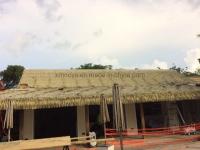 China Customized South Africa Synthetic Thatch Tile for Roof Decoration SGS Tested and Approved for sale
