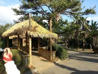 China Customized South Africa Synthetic Thatch Tile for Roof Decoration SGS Tested and Approved for sale