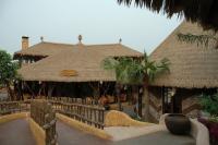 China 45*50cm and 30*45cm Customized Lightweight Thatched Roof Tile for Roofing Material for sale