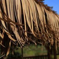 China Waterproof Synthetic Palm Artificial Wheat Straw Thatched Roof 45*50cm and 100*45cm for sale