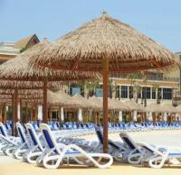 China Customized Fireproof Synthetic Tropical Thatch Roofing Tiles for Hotel HDPE Tiki Huts for sale