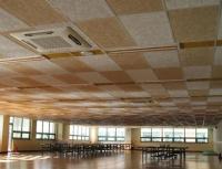 China E0 Eco-Friendly Blackish Green Wood Wool Sound Acoustic Ceiling with Veneer Finishing for sale