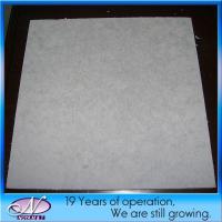 China Sand Finishing Surface Waterproof Fibre Cement Panel/Board for Wall or Ceiling Tile for sale