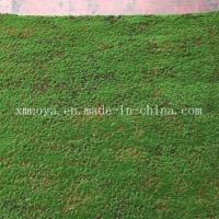 China Decorative Synthetic Moss Grass for Home Garden Made of Plastic Materials 20*20cm for sale