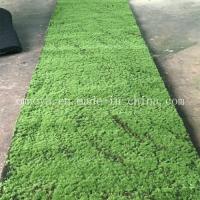 China Decorative Synthetic Moss Grass for Home Garden Made of Plastic Materials 20*20cm for sale