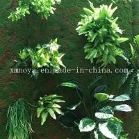 China Green Artificial Moss for Home Garden Restaurant Supermarket Hotel Office Decoration for sale