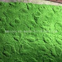 China Green Artificial Moss for Home Garden Restaurant Supermarket Hotel Office Decoration for sale