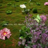 China Decorative Artificial Green Grass Moss Walls Customized for Your Landscaping Business for sale