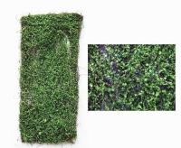 China High Simulation Tranquilizing Green Artificial Tree Bark for Benefit for sale
