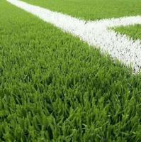 China 25mm Pile Height PP Artificial Turf for Soccer Field NYG010 Leisure Area for sale