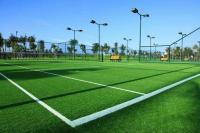 China International Class Curving Yarn Form Synthetic Green Carpet for Indoor and Outdoor for sale
