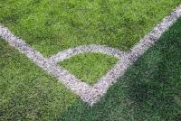 China 2m*25m Olive Type Cross Profile Artificial Grass for Gardens and Landscaping Promotion for sale