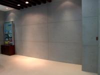 China Wall Panel Piece with Waterproof Calcium Silicate Board Instant Materials for sale