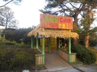China Traditional Style Synthetic HDPE Thatch Roof for Hotel Roofing Decoration for sale