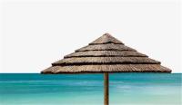 China Polyethylene Irregular Thatch Shape Bent Tiles for Hotel Roofing for sale
