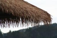 China Hotel Ceiling Tile Natural Thatching Material / Eco Friendly Thatch Roofin With Natural Color for sale