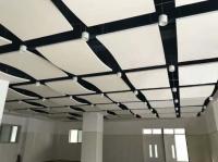 China Different Kinds Of Pop Fiberglass Designs Acoustic Ceiling For Office Home Decoration for sale