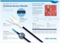 China 9.5Fr 35cm Disposable Medical Grade PTFE Ureteral Access Sheaths CE Certificated for sale