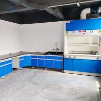 China Phenolic Resin Steel Fume Hood Table Top Low Noise For Laboratory for sale