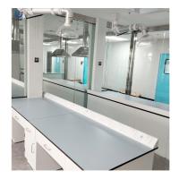 China Customizable Lab Wall-Mounted Bench With Length*W750*H850mm And Ceramic Table Top for sale