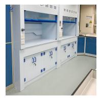 China Easy Installation Steel Fume Hood with High Durability Customizable in Black or Customized for sale