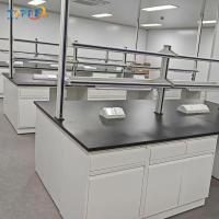 China Customized Number of Shelves and Lockers Hospital Lab Furniture for Modern Labs for sale
