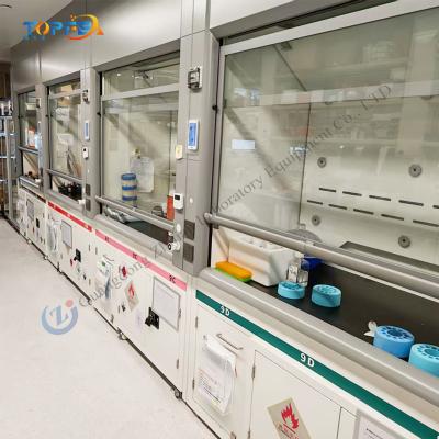 China Low Maintenance Steel Fume Hood in Black or Customized Customizable for Maximum Efficiency for sale
