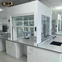 China Low Maintenance and Easy Installation Steel Fume Hood for Effective Air Extraction for sale