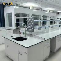 China Low Maintenance and Easy Installation Steel Fume Hood for Effective Air Extraction for sale